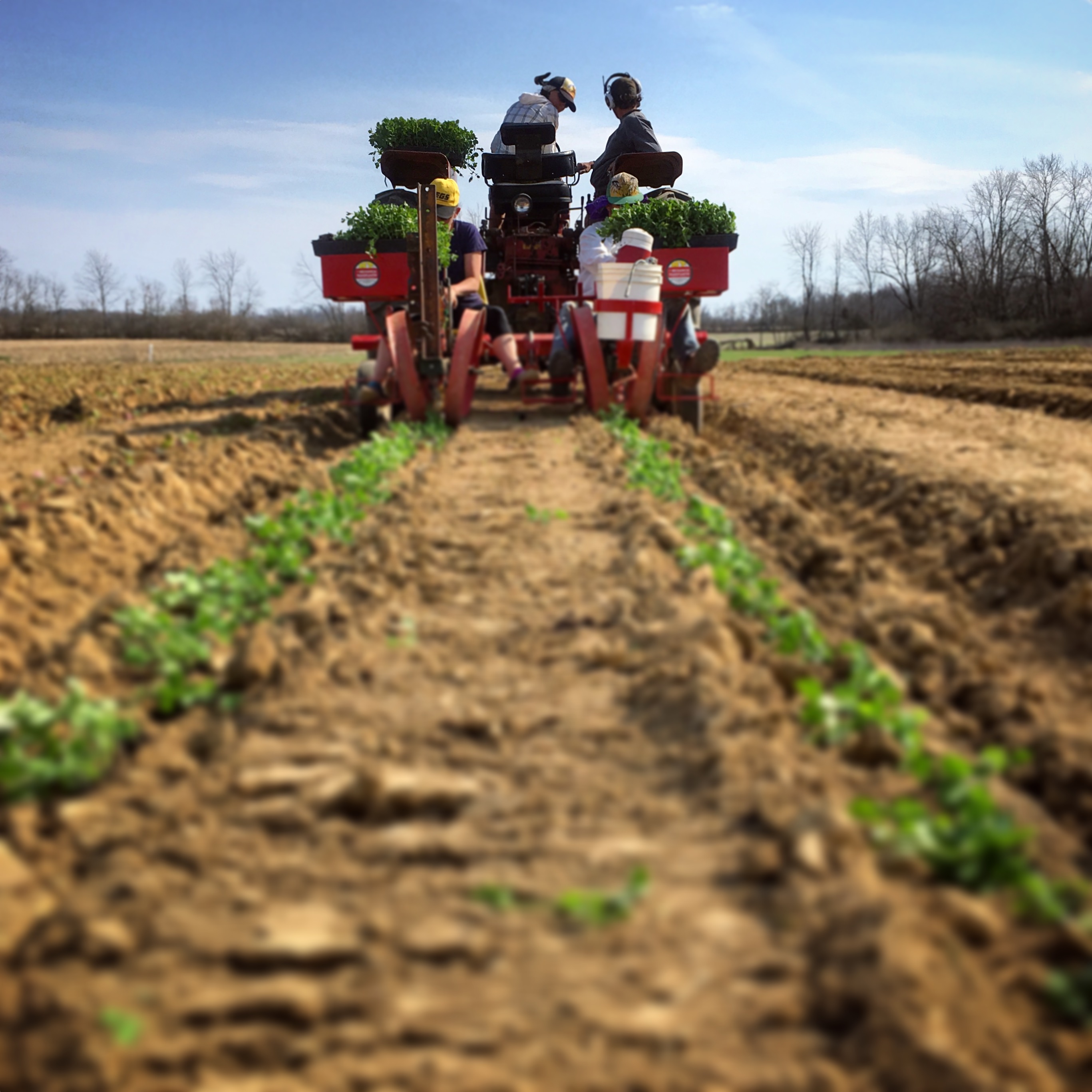 New Beginnings – Mile Creek Farm